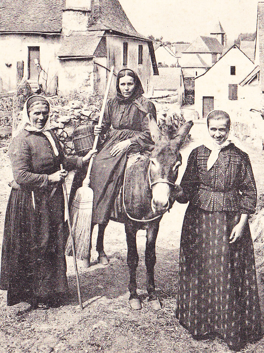 L’historique et la conservation – Ânes et Mulets des Pyrénées